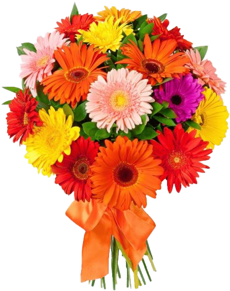 Congratulations! The PNG Image Has Been Downloaded (Birthday Flower ...