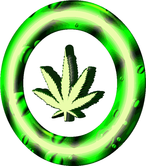 Congratulations! The PNG Image Has Been Downloaded (Leaf Clipart ...