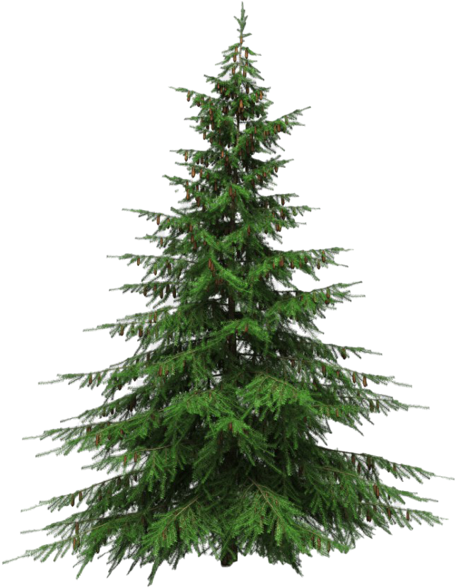 Congratulations! The PNG Image Has Been Downloaded (Artificial ...