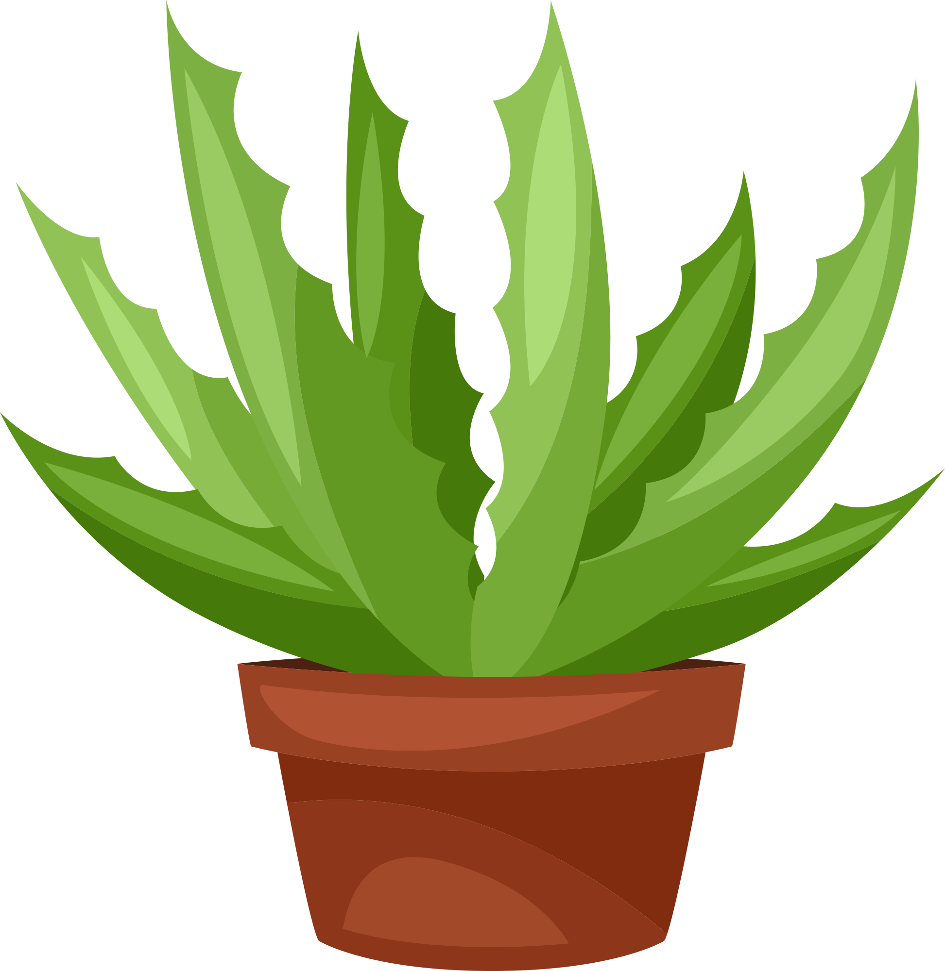 Congratulations! The PNG Image Has Been Downloaded (Cactus Clipart Png ...