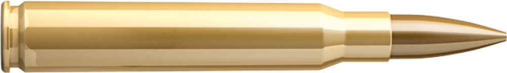 Congratulations! The PNG Image Has Been Downloaded (Bullets Png Image ...
