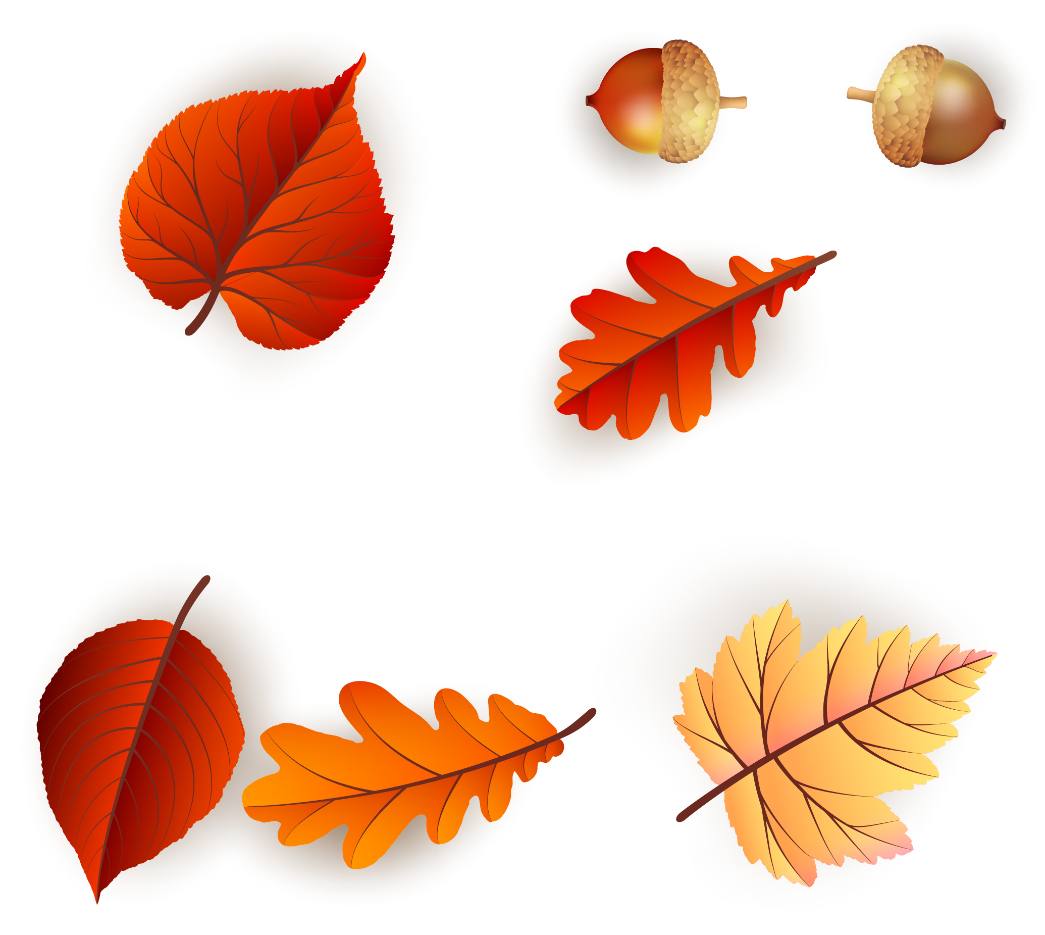 Congratulations! The PNG Image Has Been Downloaded (Continental ...