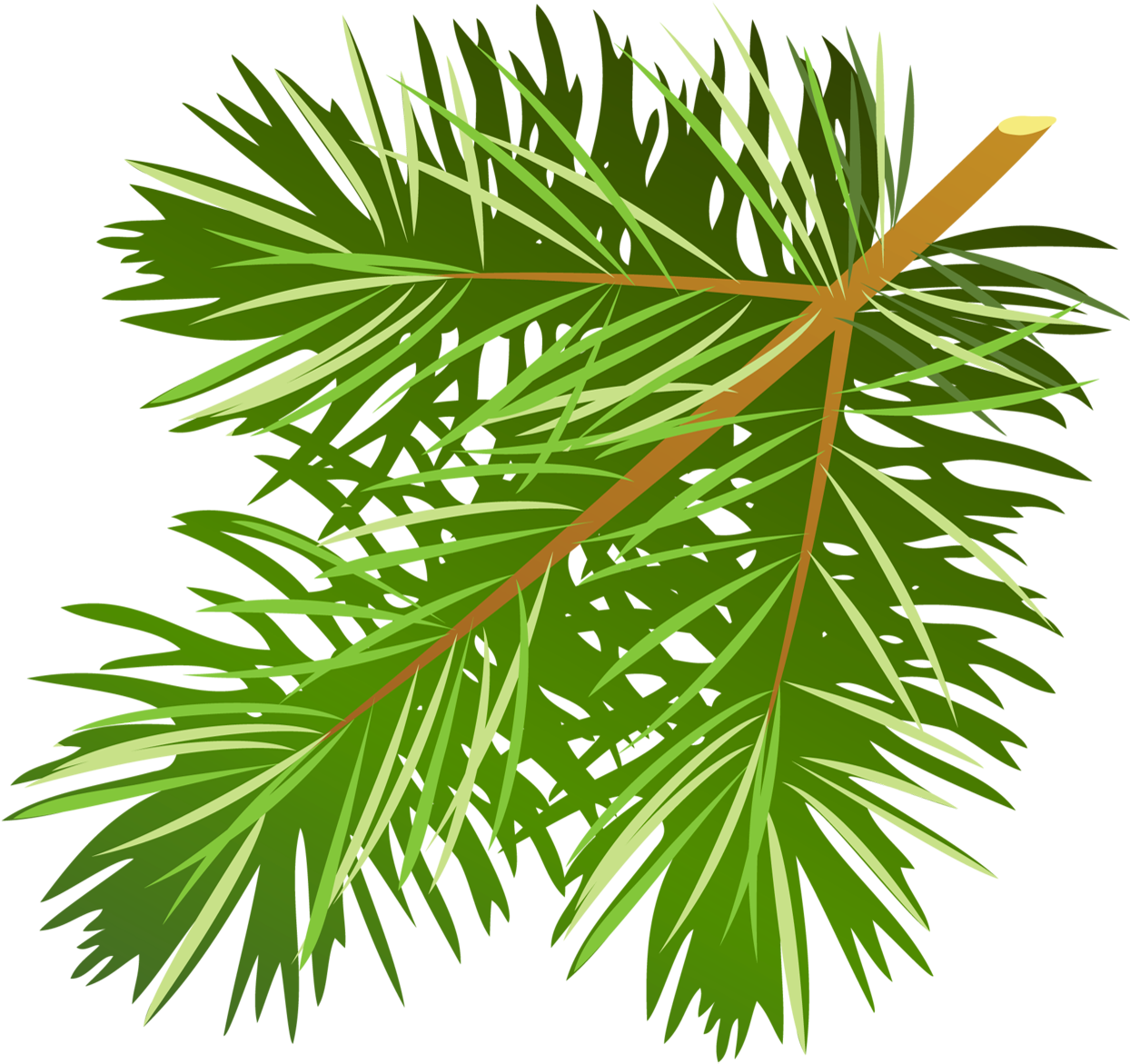 Congratulations! The PNG Image Has Been Downloaded (Transparent Tree ...