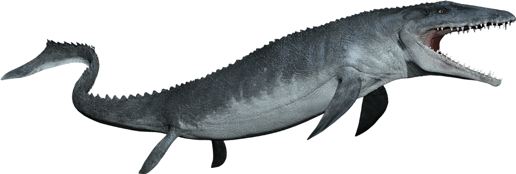Congratulations! The PNG Image Has Been Downloaded (Mosasaurus Detail ...