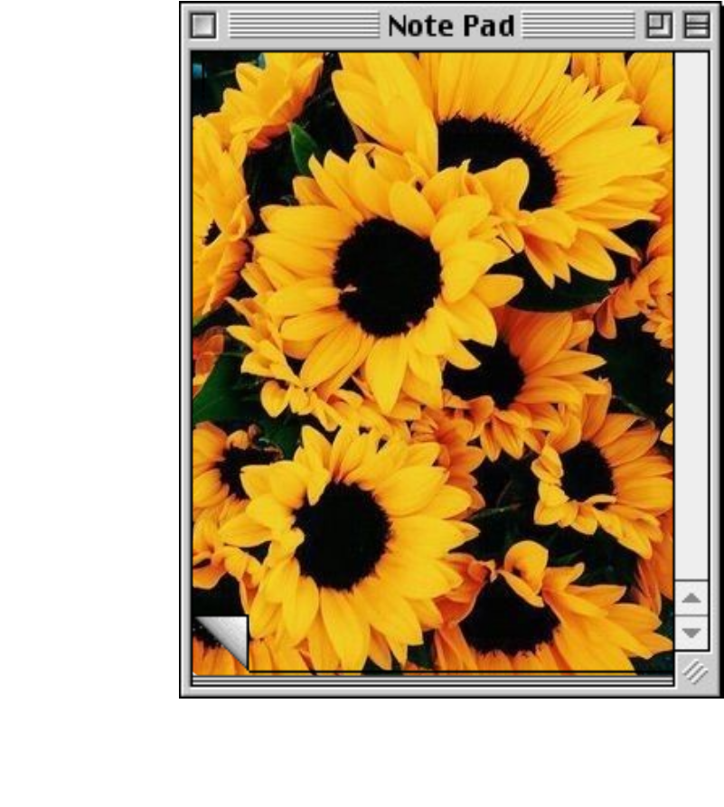 Congratulations! The PNG Image Has Been Downloaded (#picsart #notepad # ...