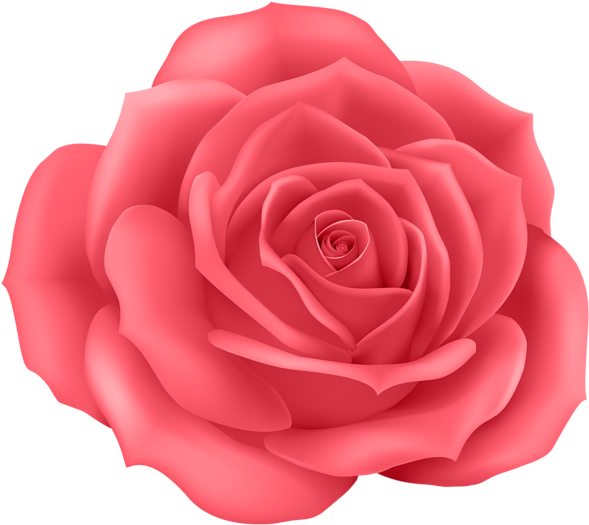 Congratulations! The PNG Image Has Been Downloaded (Rose Png - Rose ...