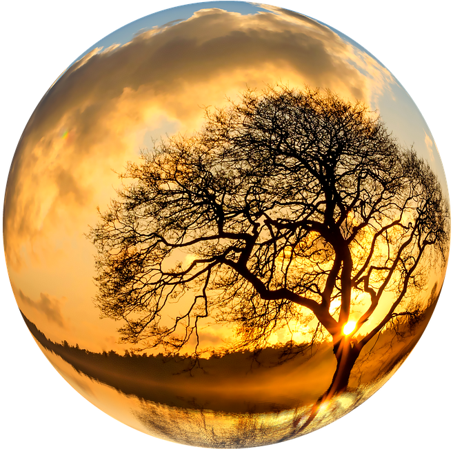 Congratulations! The PNG Image Has Been Downloaded (Download Earth ...