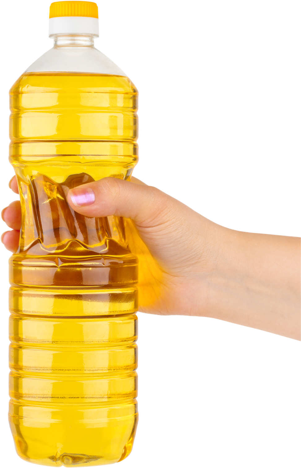 Congratulations! The PNG Image Has Been Downloaded (Sunflower Oil Png ...