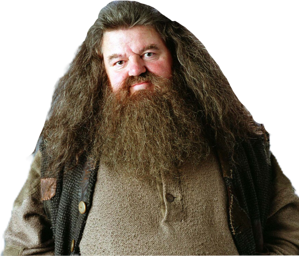 Congratulations! The PNG Image Has Been Downloaded (#hagrid - Hagrid ...