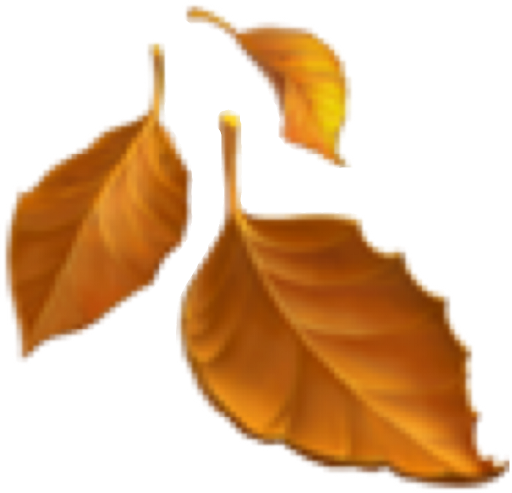 Congratulations! The PNG Image Has Been Downloaded (Emoji Leaf Fall Blatt Blätter Freetoedit ...