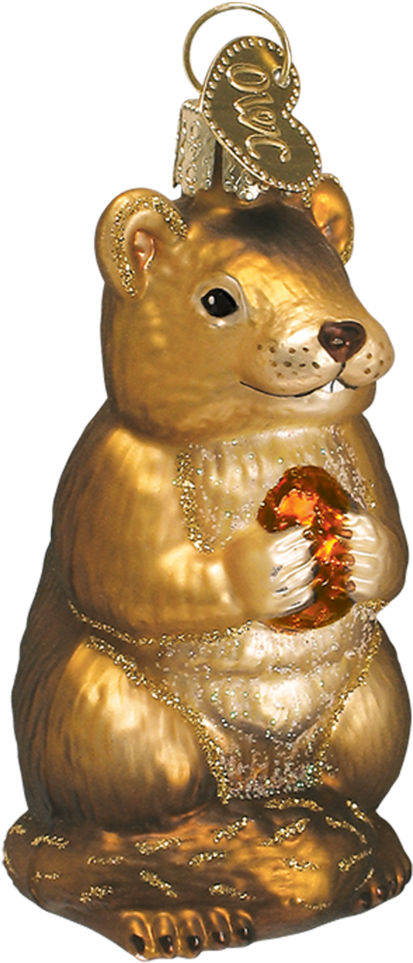 Congratulations! The PNG Image Has Been Downloaded (Chipmunk Png ...