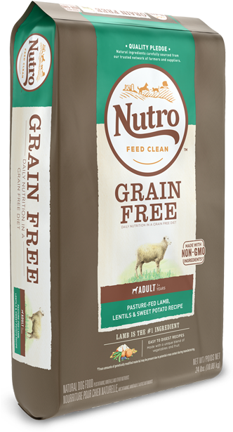 Congratulations! The PNG Image Has Been Downloaded (Grain Free Adult ...