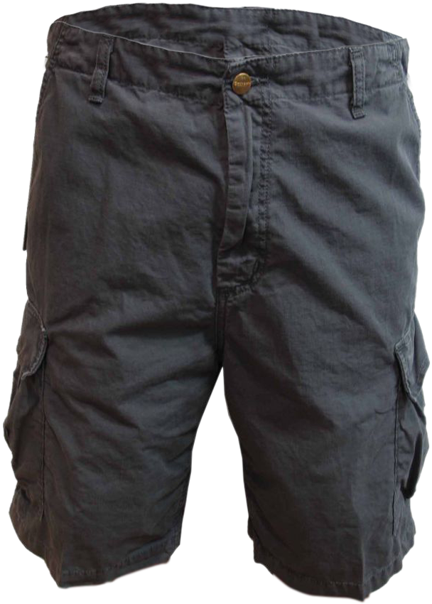 Congratulations! The PNG Image Has Been Downloaded (Bermudas - Nicker ...