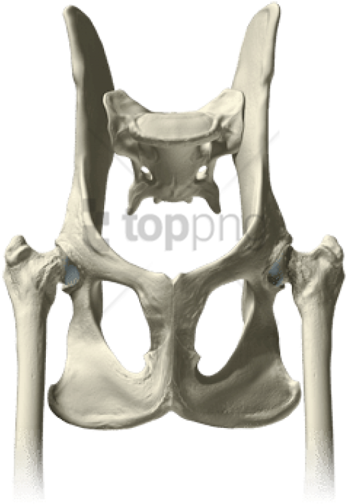 Congratulations! The PNG Image Has Been Downloaded (Free Png Download ...