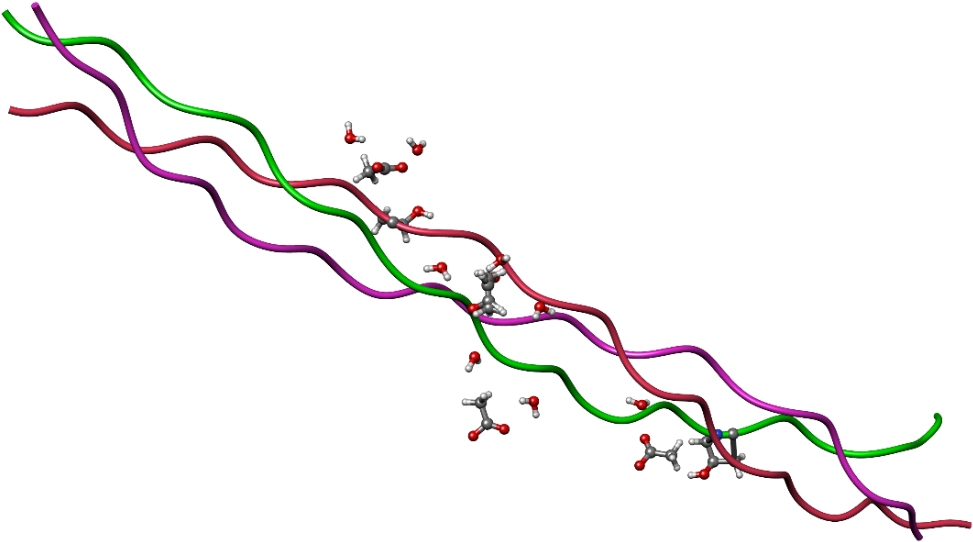 Congratulations! The PNG Image Has Been Downloaded (Collagen Triple ...