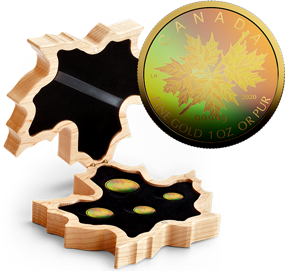 Congratulations! The PNG Image Has Been Downloaded (Gol Png ...