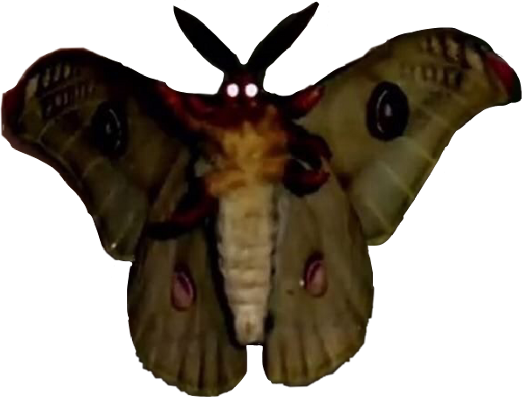 Congratulations! The PNG Image Has Been Downloaded (Moth Meme Png ...