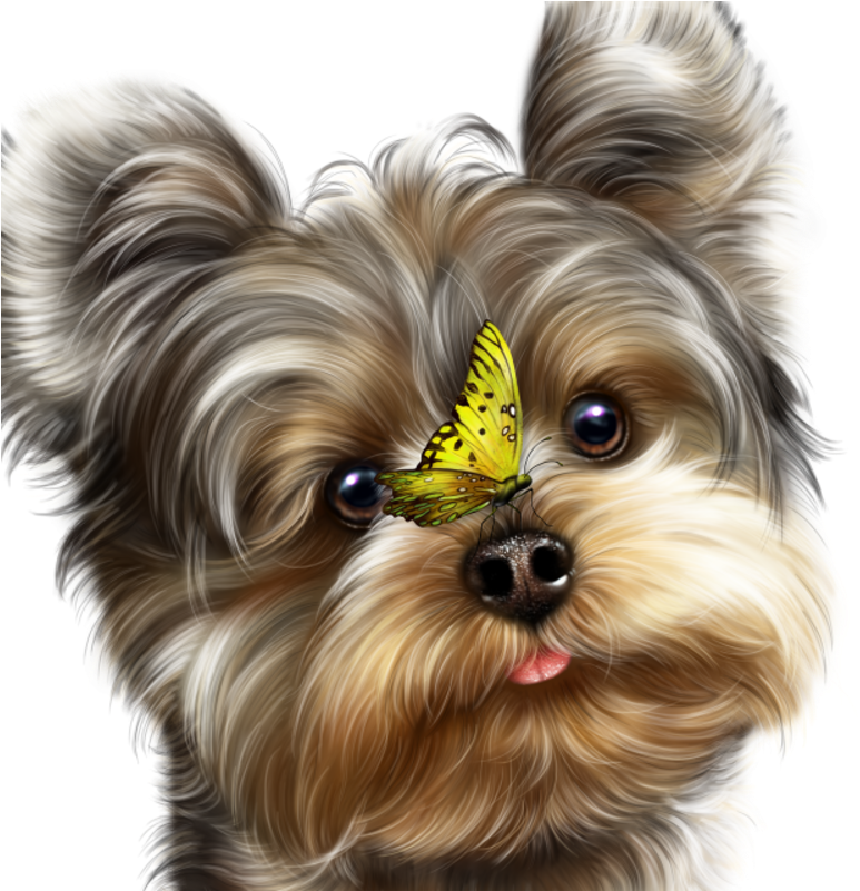 Congratulations! The PNG Image Has Been Downloaded (Fairy Yorkie And ...