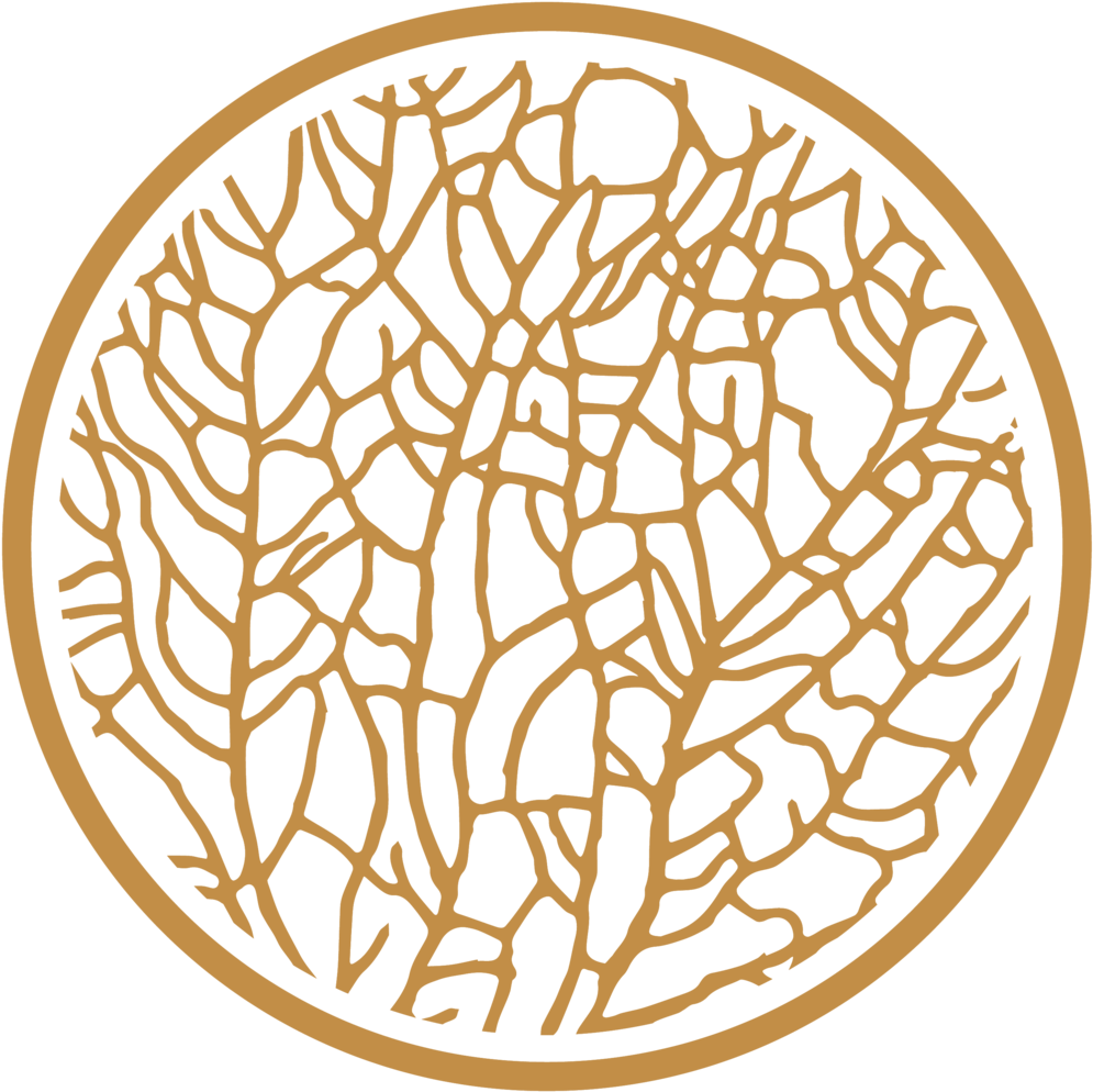 Congratulations! The PNG Image Has Been Downloaded (Tumbleweed Logo ...