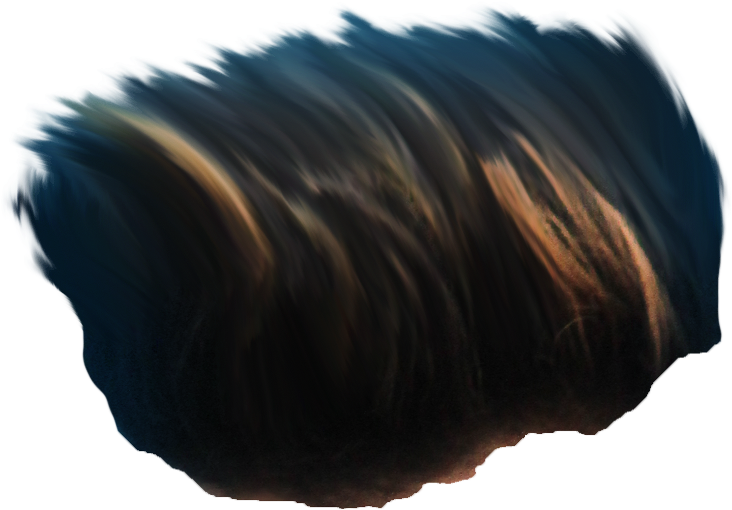 Congratulations! The PNG Image Has Been Downloaded (Transparent Hair ...