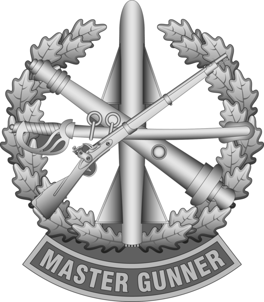 Congratulations! The PNG Image Has Been Downloaded (Us Army Master ...