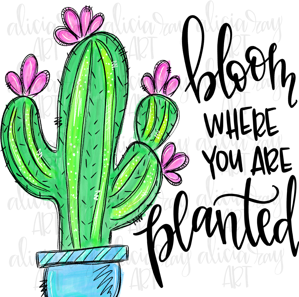 Congratulations! The PNG Image Has Been Downloaded (Bloom Where You Re ...