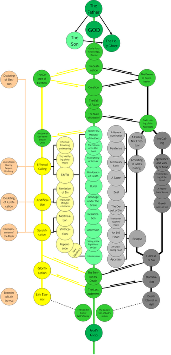 Congratulations! The PNG Image Has Been Downloaded (Picture - William ...