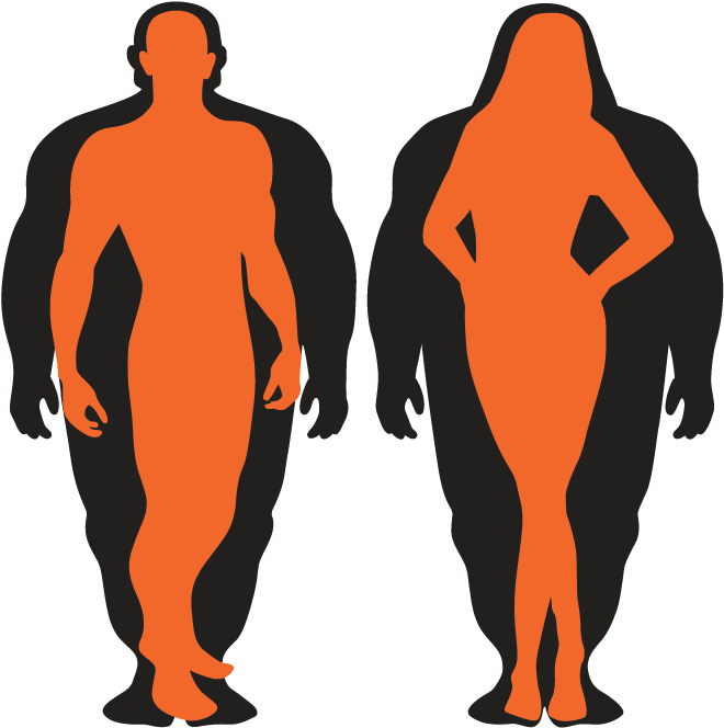 Congratulations! The PNG Image Has Been Downloaded (Body Transformation ...
