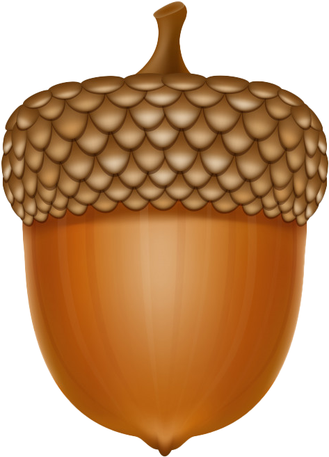 Congratulations! The PNG Image Has Been Downloaded (Oak Nut Png Free ...