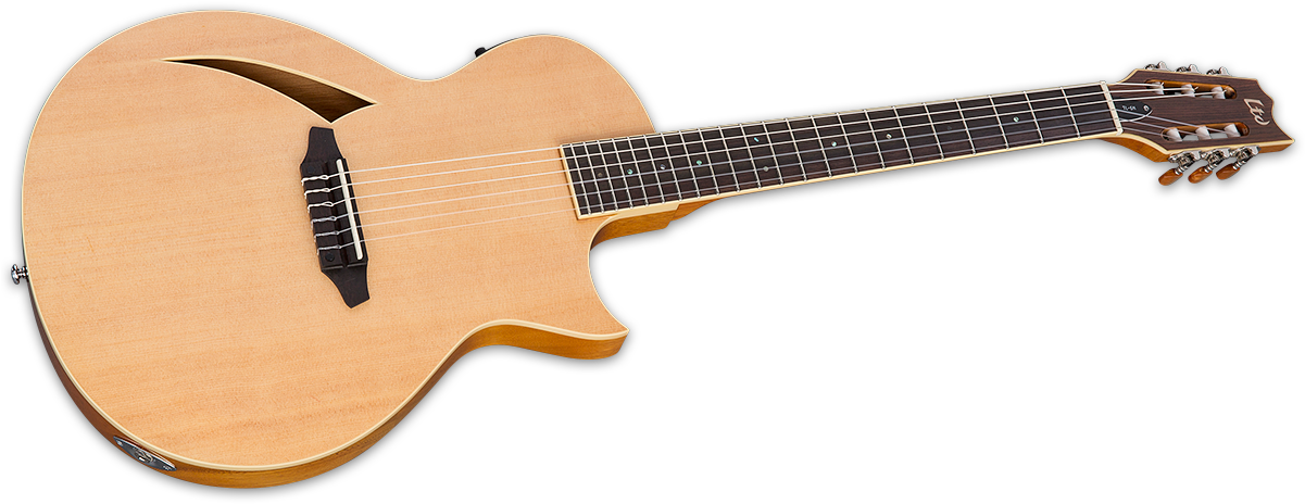 Congratulations! The PNG Image Has Been Downloaded (Esp Ltd Tl 6n ...