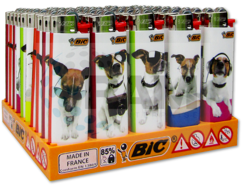 Congratulations! The PNG Image Has Been Downloaded (Dogs, HD Png ...
