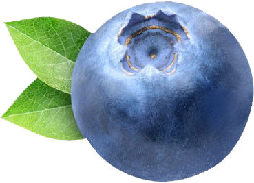 Congratulations! The PNG Image Has Been Downloaded (Blueberry Png ...