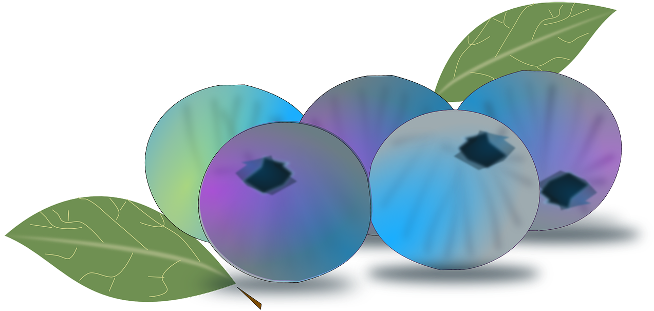 Congratulations! The PNG Image Has Been Downloaded (Blueberry - Animasi ...
