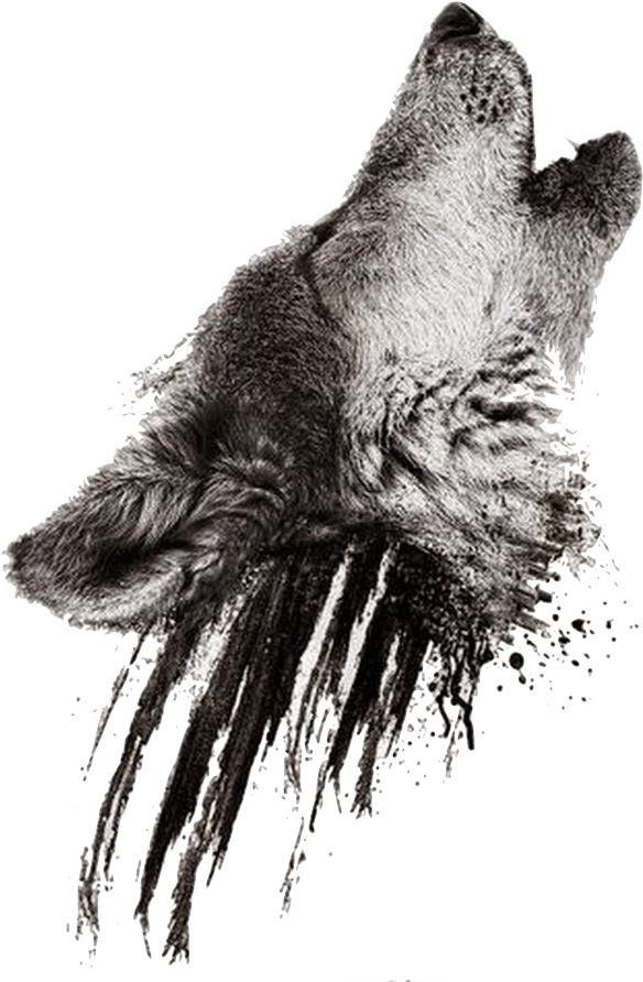 Congratulations! The PNG Image Has Been Downloaded (Transparent Wolf ...