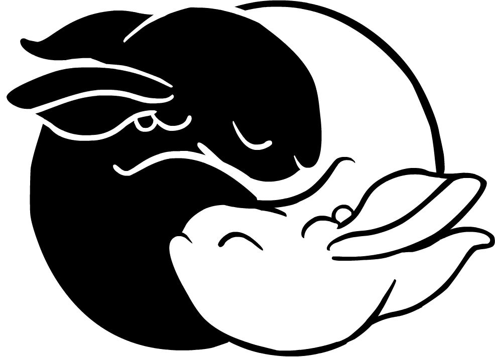 Congratulations! The PNG Image Has Been Downloaded (Ditto Face Png ...
