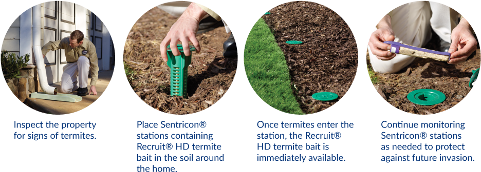 Congratulations! The PNG Image Has Been Downloaded (Sentricon Termite ...