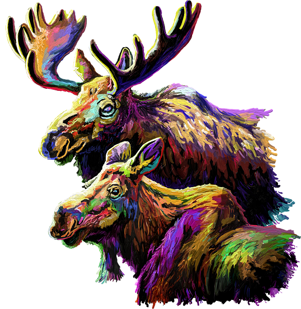 Congratulations! The PNG Image Has Been Downloaded (Anthony Mwangi ...