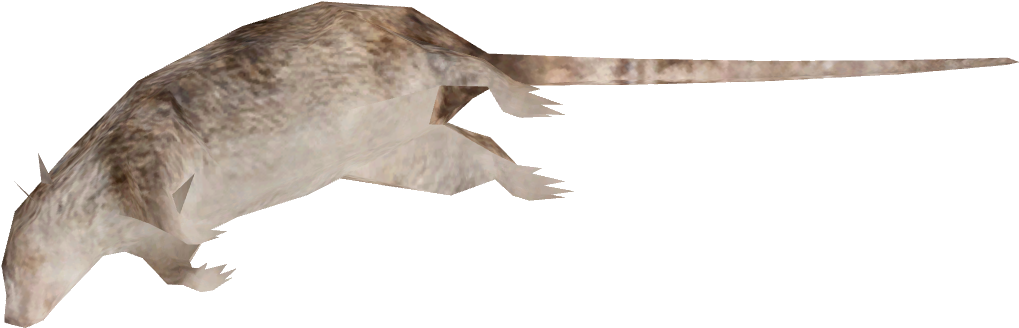 Congratulations! The PNG Image Has Been Downloaded (Dead Rat Png - Dead ...