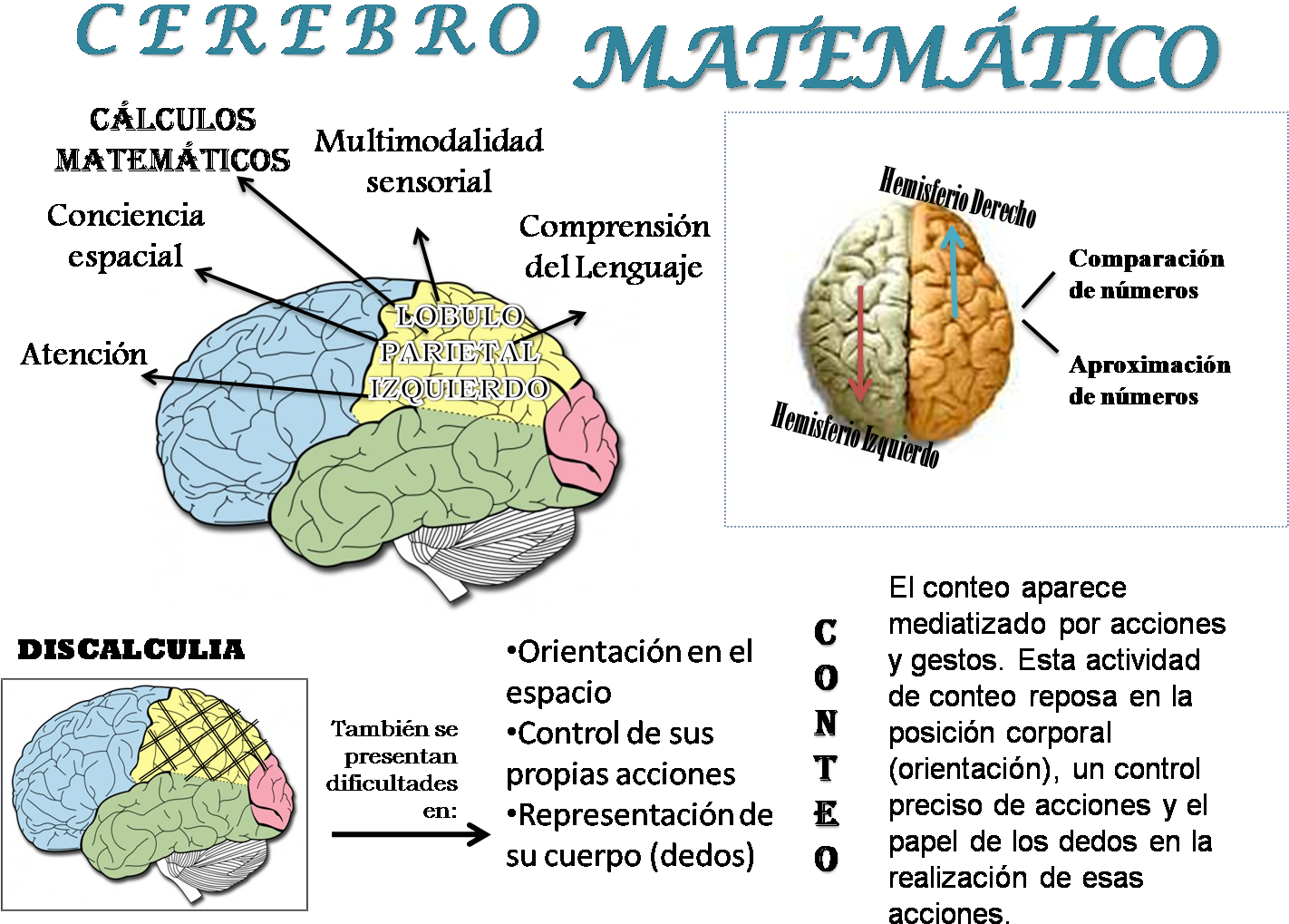 Congratulations! The PNG Image Has Been Downloaded (Matemáticas En El ...