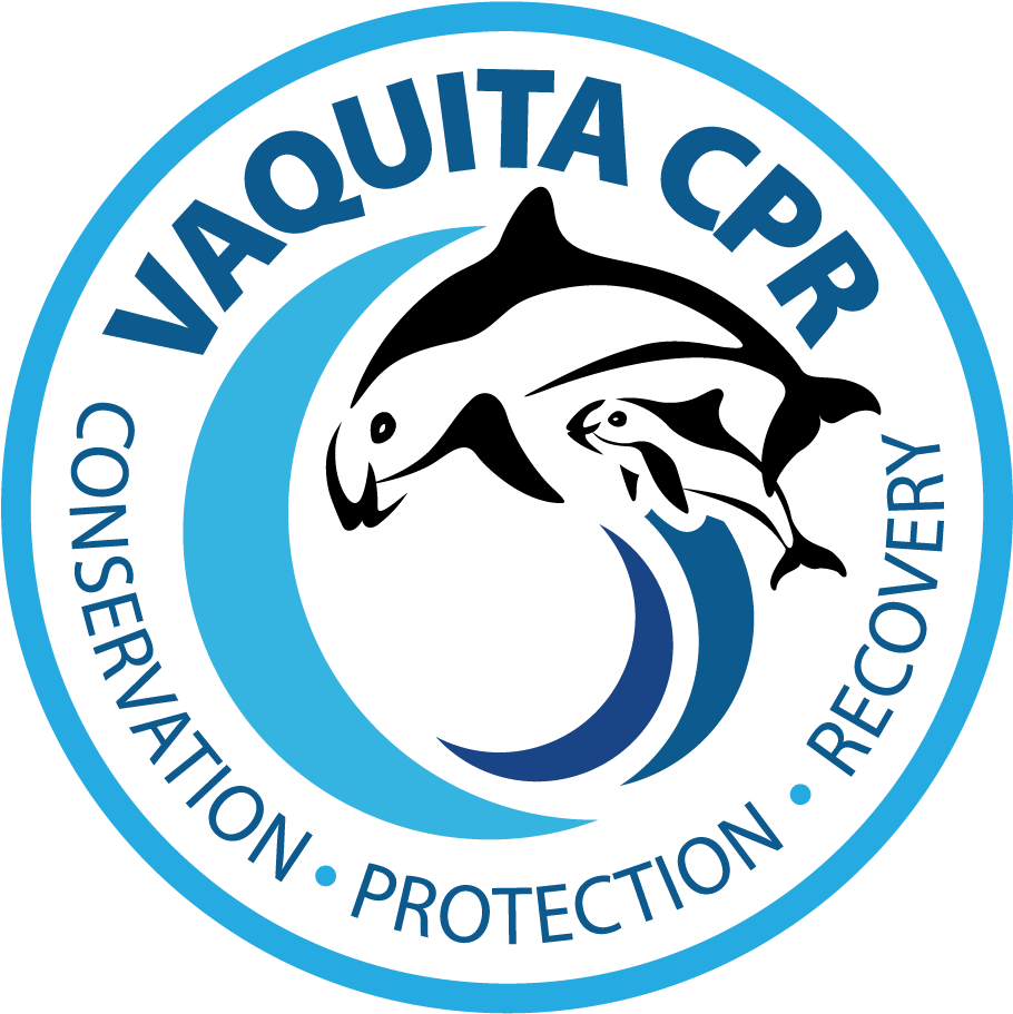 Congratulations! The PNG Image Has Been Downloaded (Vaquita Logo ...