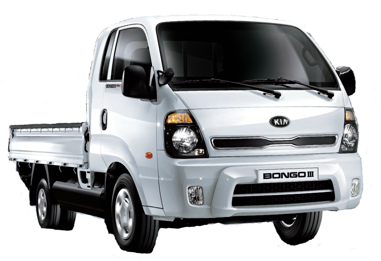 Congratulations! The PNG Image Has Been Downloaded (Bongo Png , Png ...