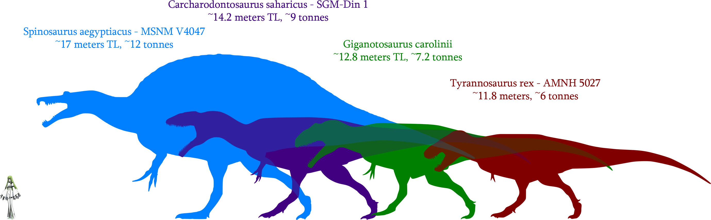 Congratulations! The PNG Image Has Been Downloaded (Giganotosaurus Size ...