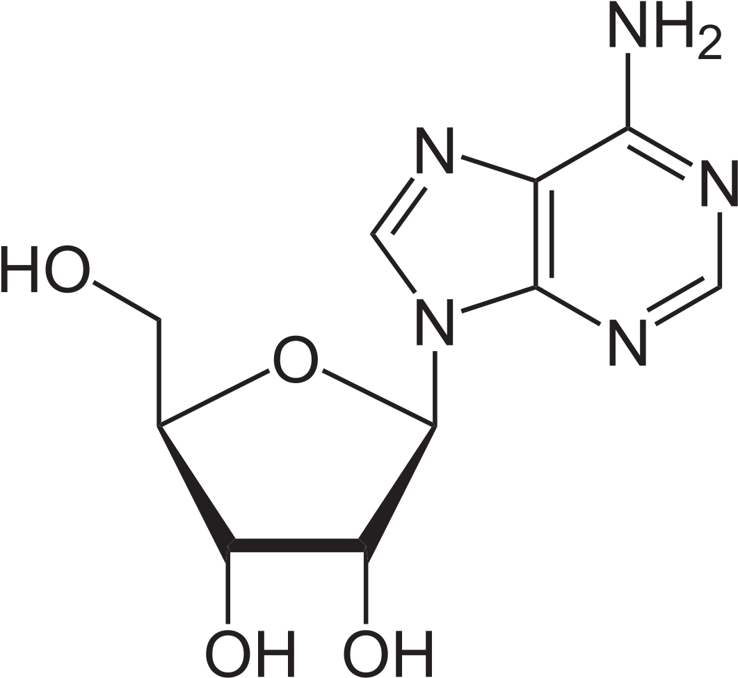 Congratulations! The PNG Image Has Been Downloaded (Http - //upload ...