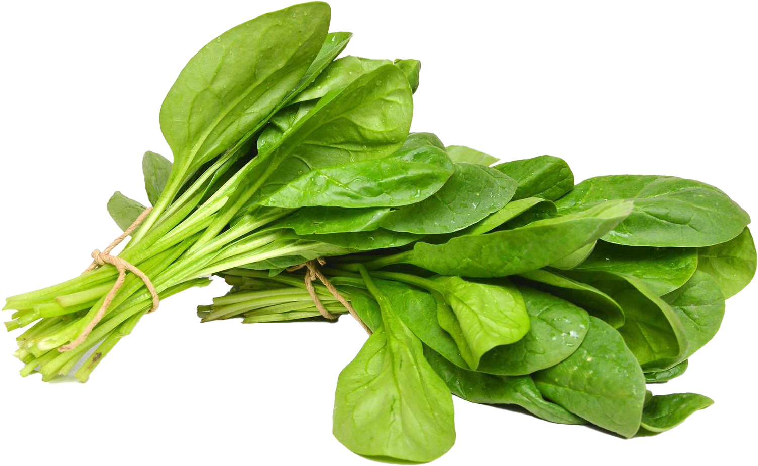 Congratulations! The PNG Image Has Been Downloaded (Spinach Png Free ...