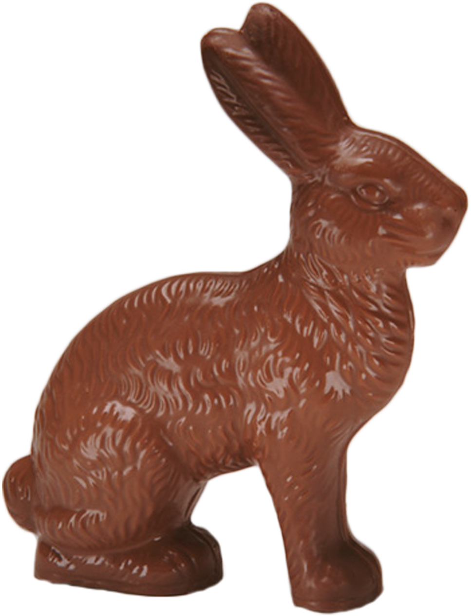 Congratulations! The PNG Image Has Been Downloaded (Chocolate Jack ...