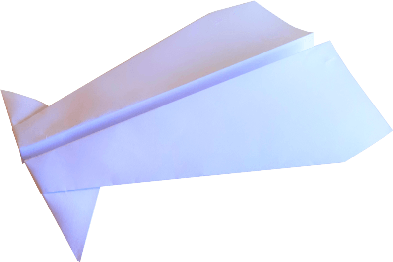 Congratulations! The PNG Image Has Been Downloaded (Canard Plane Paper ...