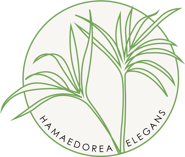 Congratulations! The PNG Image Has Been Downloaded (Dirtyroots Dirty ...