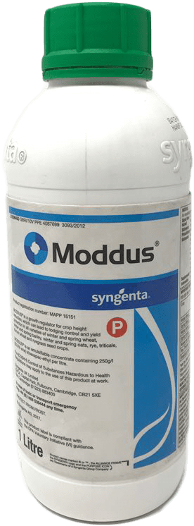 Congratulations! The PNG Image Has Been Downloaded (Moddus 1l Title ...