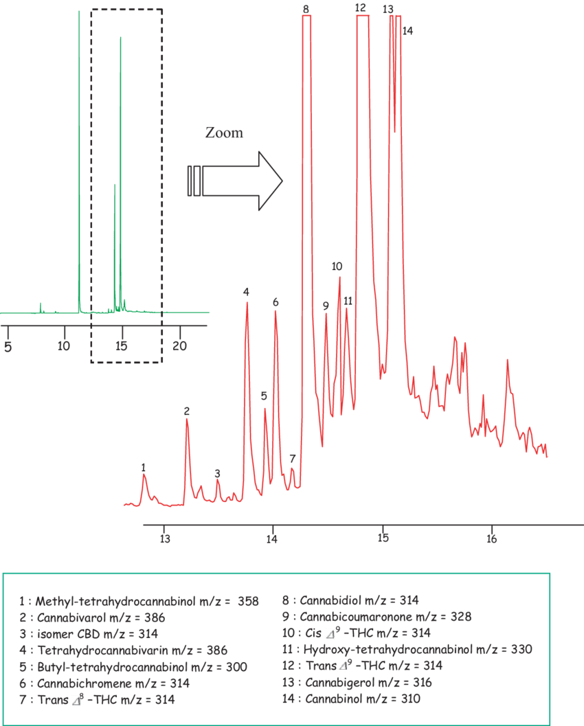 Congratulations! The PNG Image Has Been Downloaded (Gas Chromatography ...