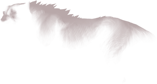 Congratulations! The PNG Image Has Been Downloaded (Mist, HD Png ...